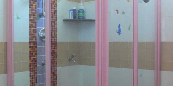 Shower Screen | Inpro Concepts Design